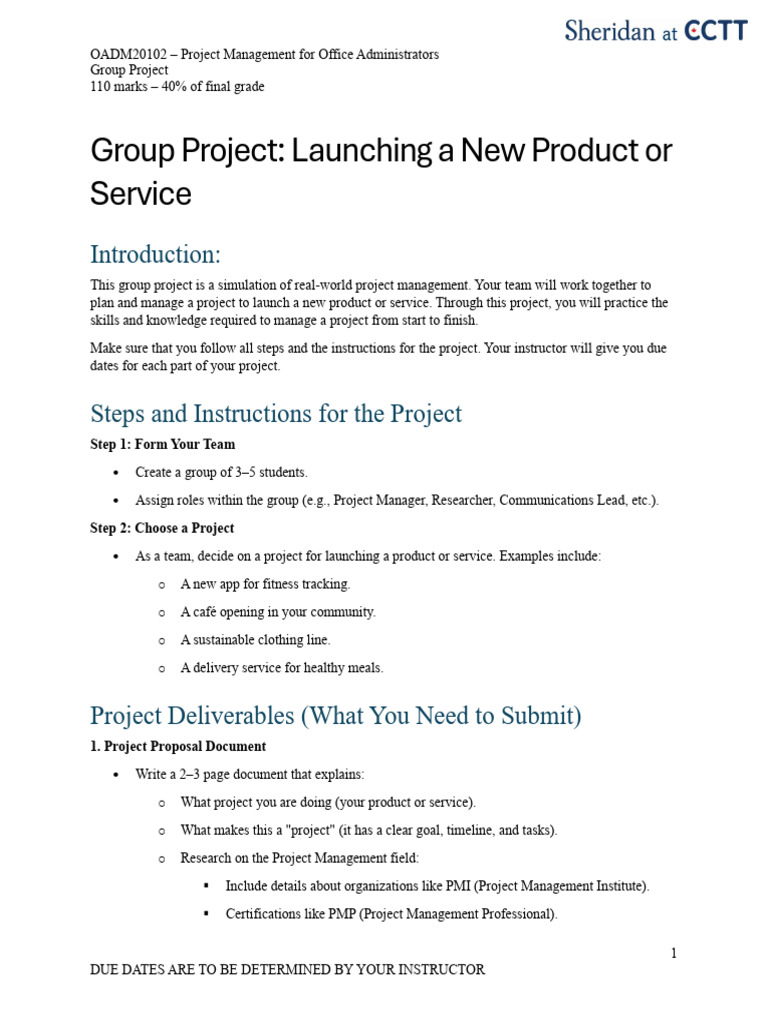 Group Project Instructions | PDF | Project Management