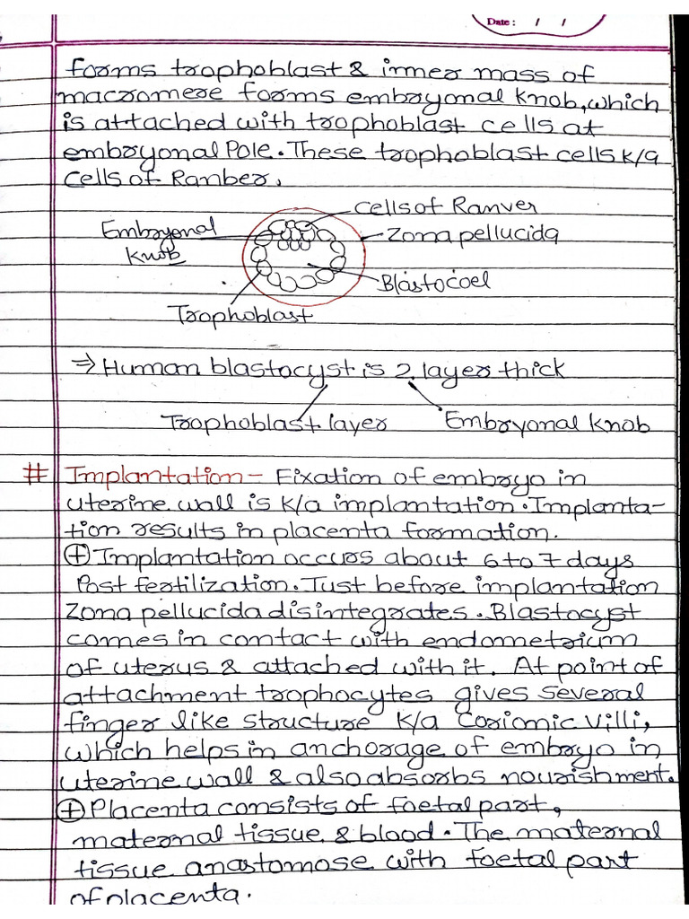 Biology 30.5.2025 | PDF