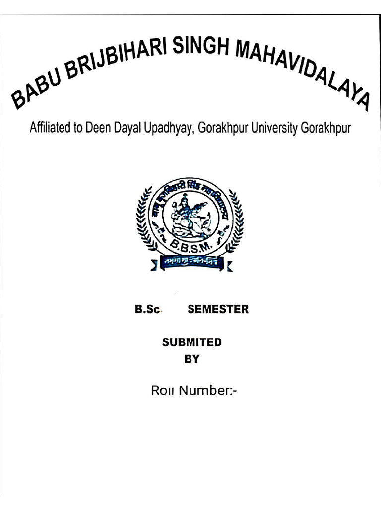 Maths Project Work | PDF