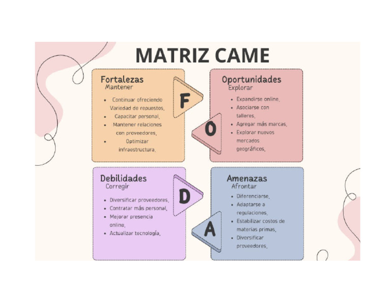 Matriz Came | PDF