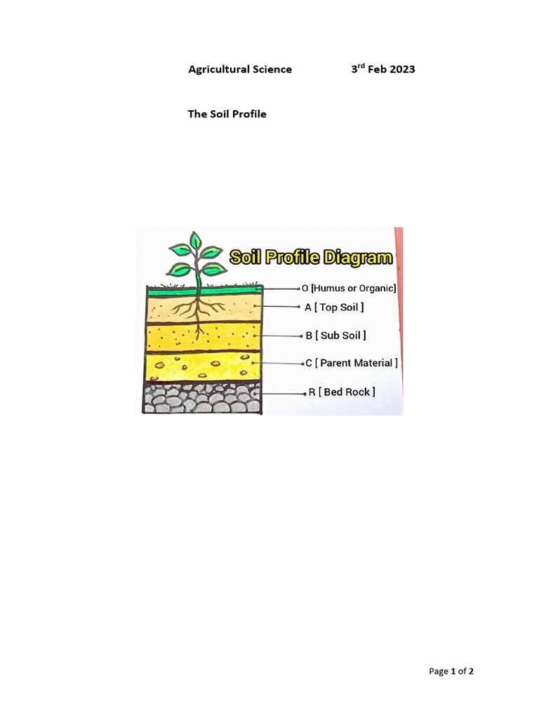 The Soil Profile - 3rd Form - 3rd February 2023 | PDF