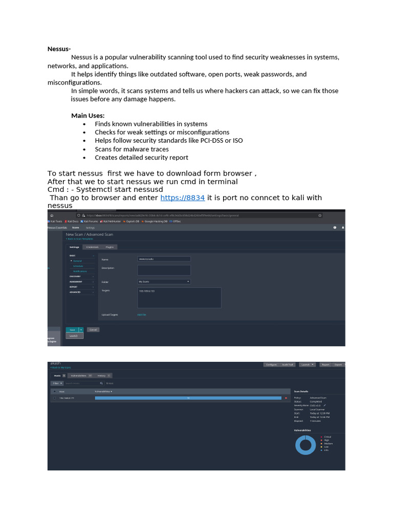 Nessus | PDF