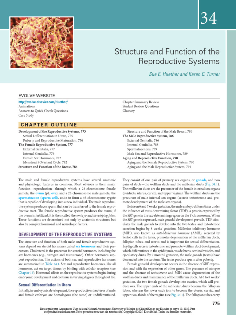 Structure and Function of The Reproductive Systems: Chapter Outline ...