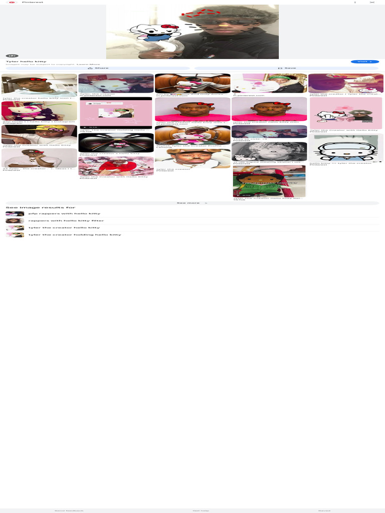 Hello Kitty Tyler The Creator PFP - Google Search | PDF