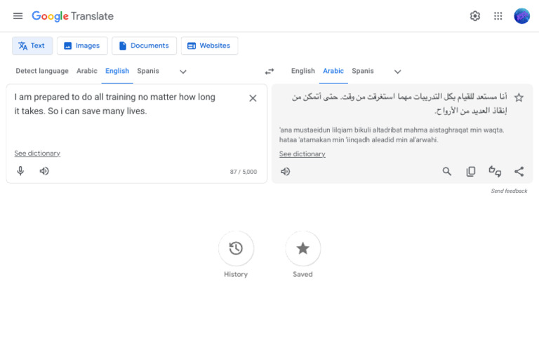 Google Translate | PDF