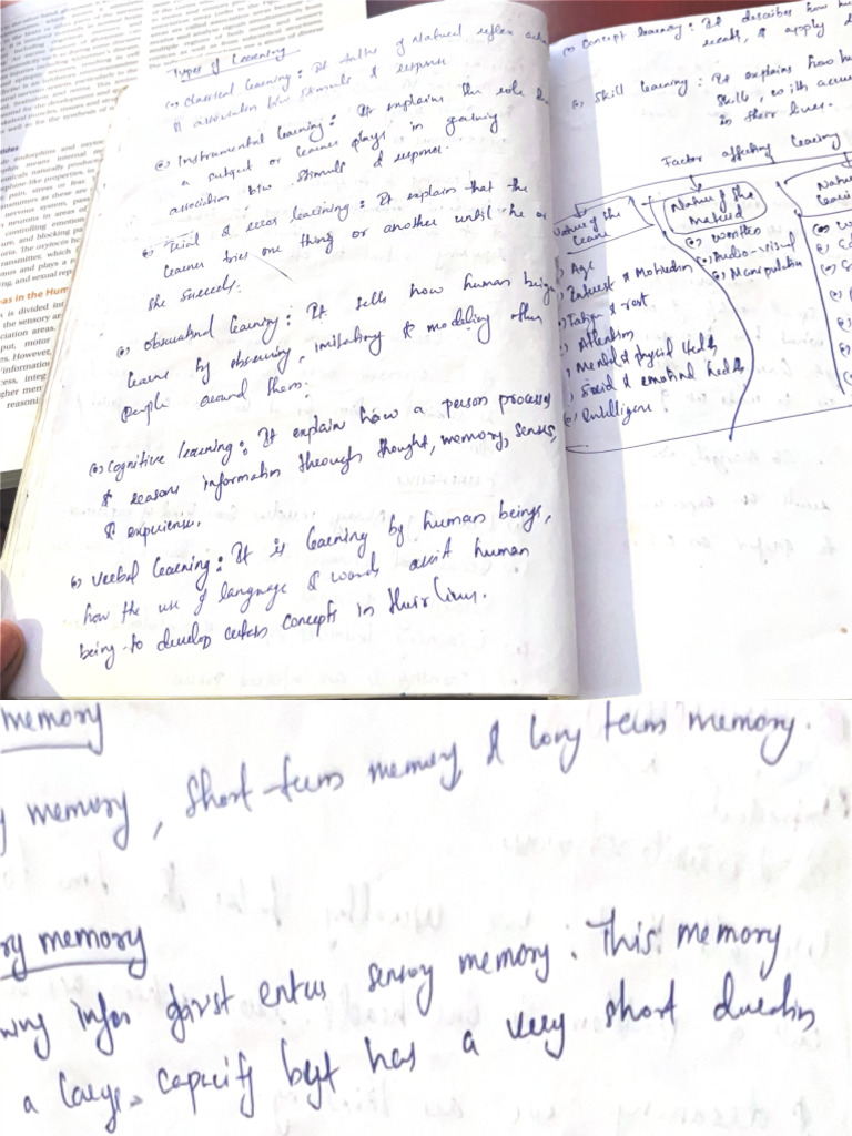 Es Instrumental Learning DR Mplains The Sole The | PDF