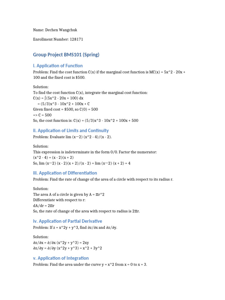 Calculus Applications Project Updated | PDF