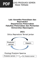 Sosialisasi PKL 2025 | PDF
