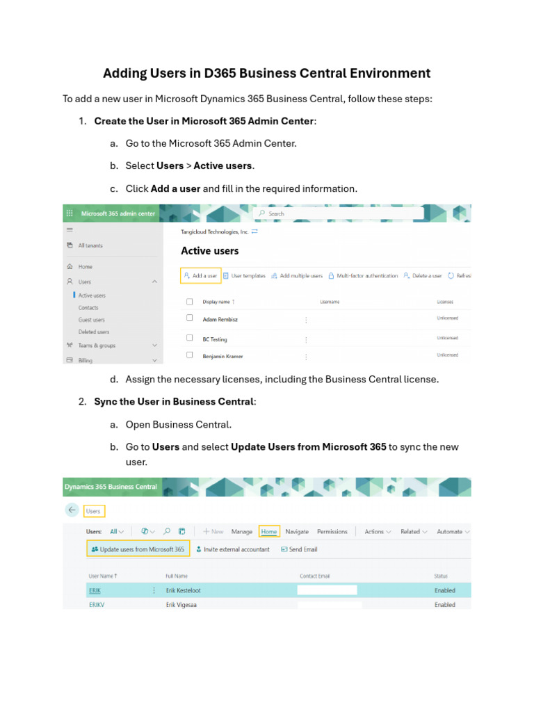 Adding Users in D365 Business Central Environment | PDF