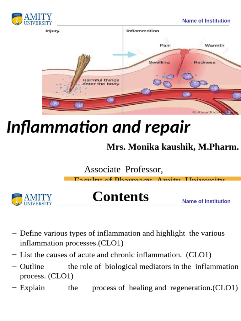 Inflammation and Healing Processes Explained | PDF | Atherosclerosis ...