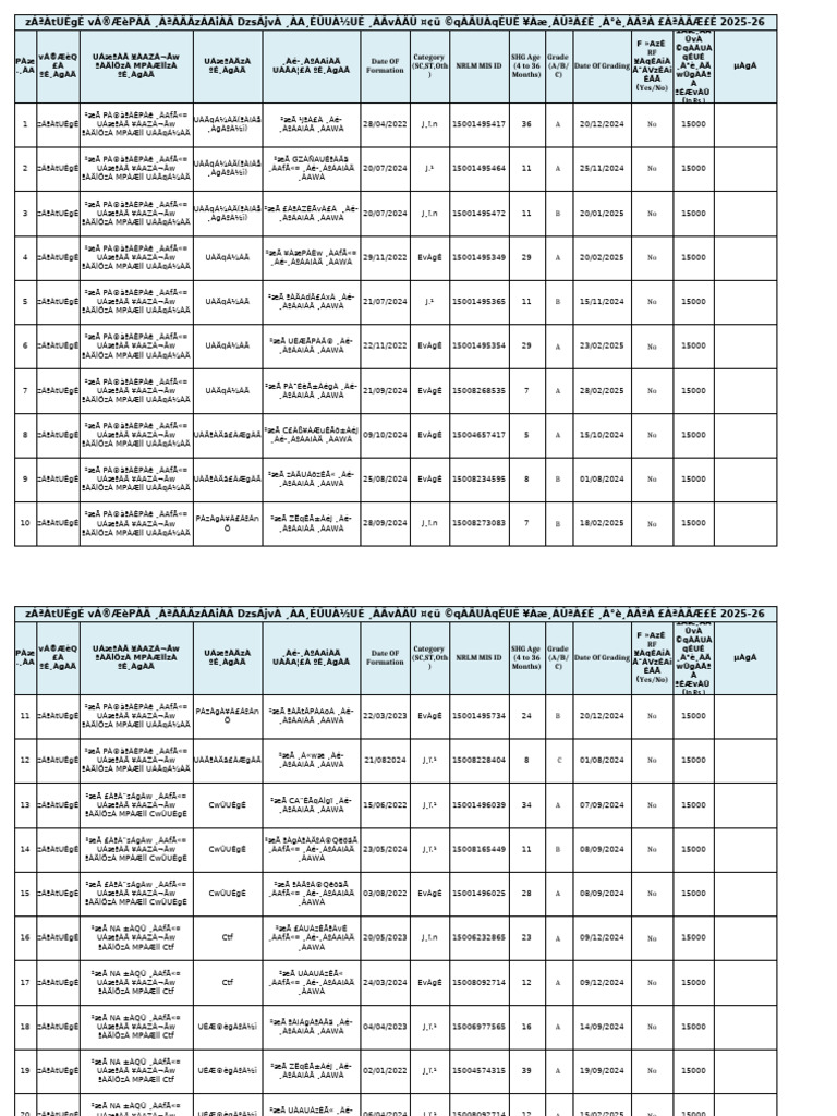RF New Formate 2025 Final | PDF