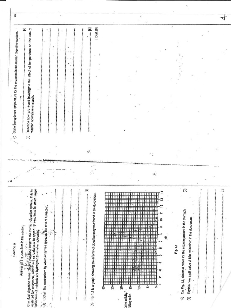 Enzyme Graph Question & Answer | PDF