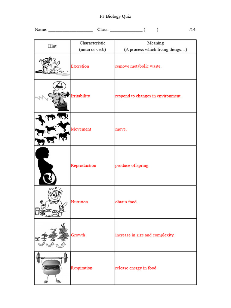 7 Characteristics of Life | PDF | Carbohydrates | Cytoplasm