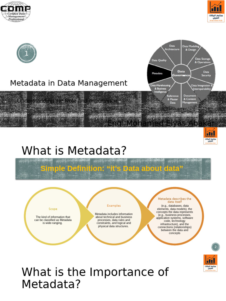 Meta Data Chapter | PDF | Metadata | Data
