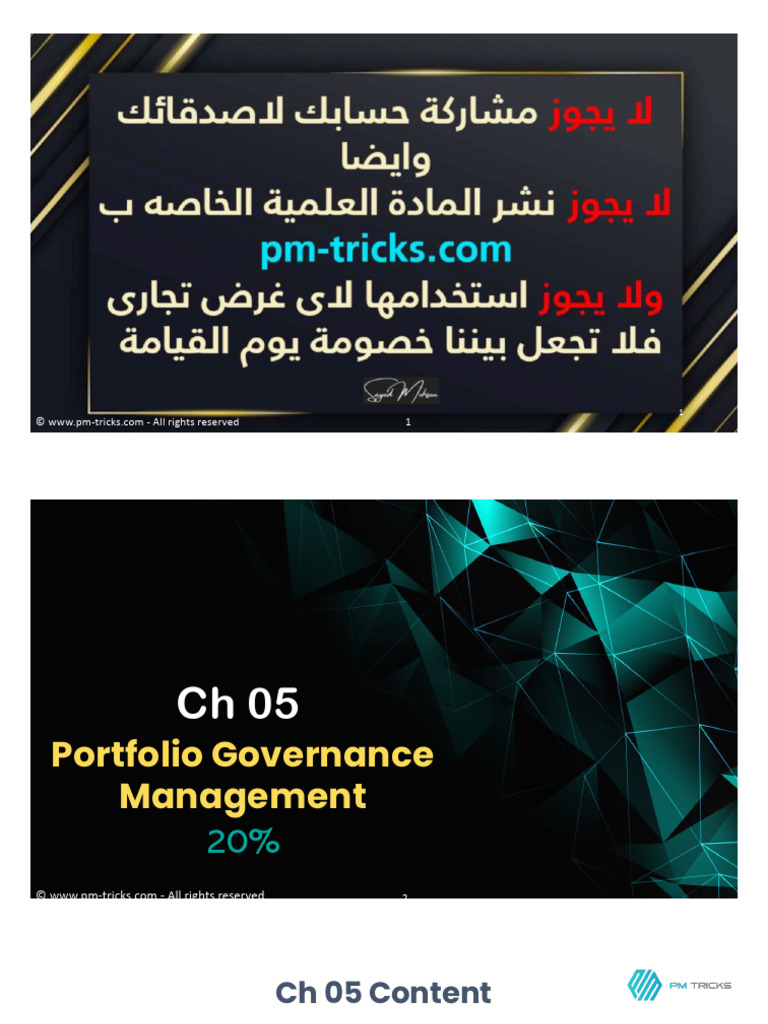 Portfolio Governance Management Guide | PDF | Strategic Planning ...