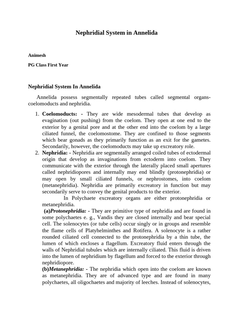 Nephridial System in Annelida | PDF | Anatomy