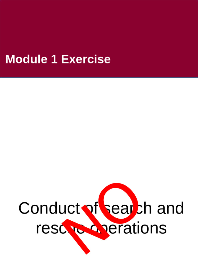 Module 1 Exercise | PDF