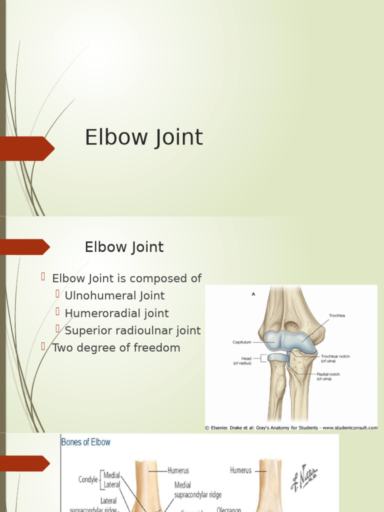 PPTX | PDF | Elbow | Anatomical Terms Of Motion
