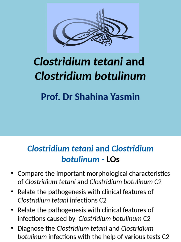Clostridium Tetani and Botulinum | PDF | Botulinum Toxin