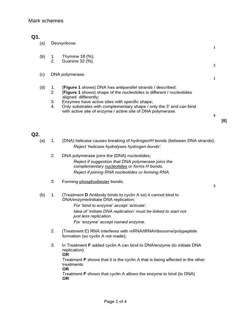 Lesson 12 - DNA Replication Questions Ms | PDF | Dna | Dna Replication