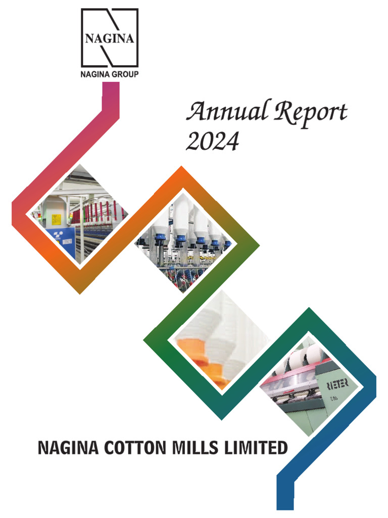 NCML Annual 2024 | PDF | Internal Control | Audit