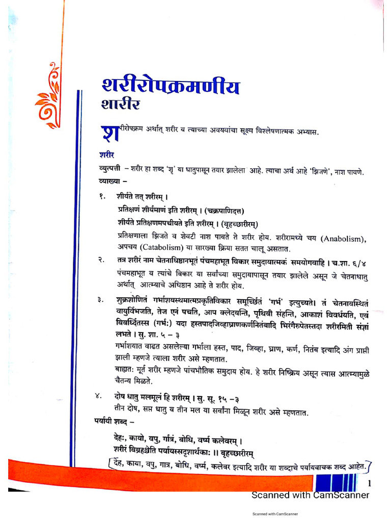 (1) Anatomy Shimpy Vol 1 | PDF