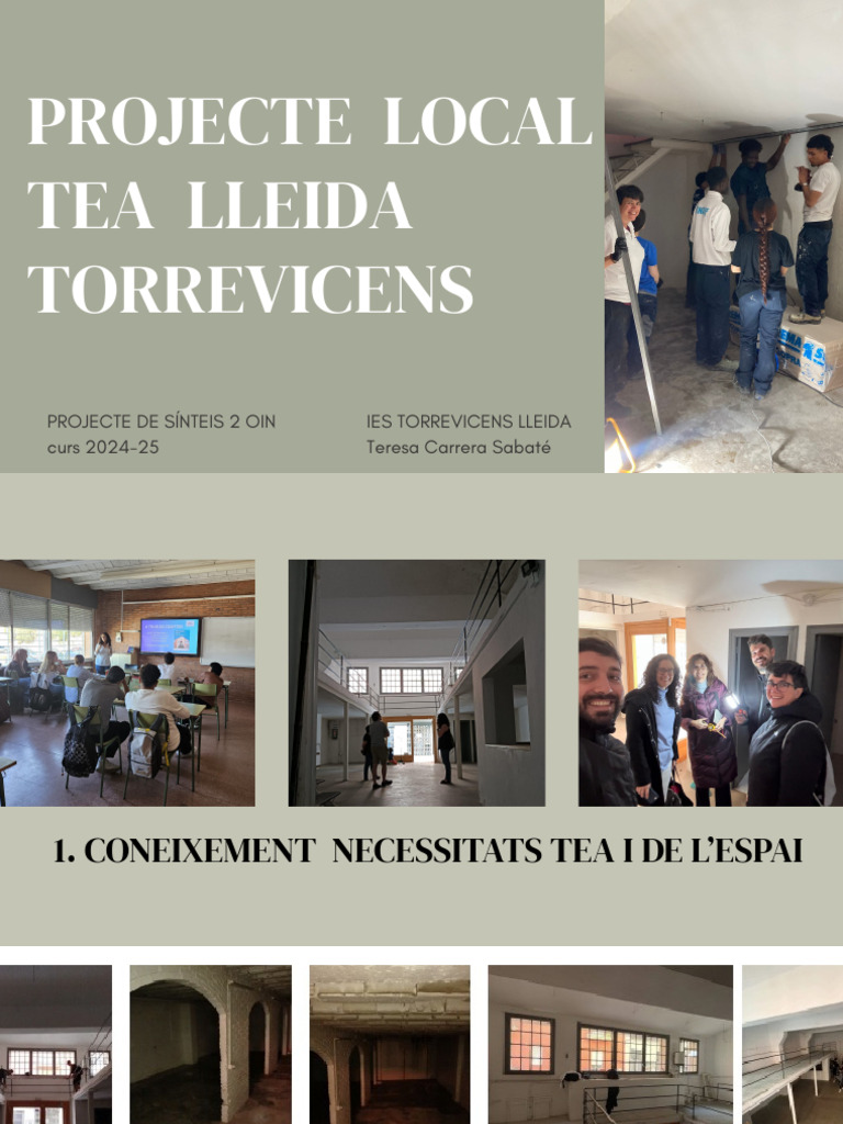 Projecte Tea Lleida Torrevicens | PDF