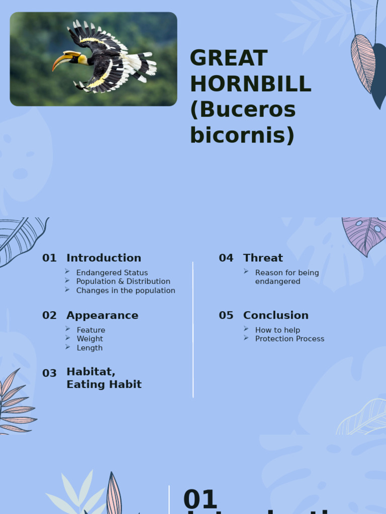 Group 6 Presentation | PDF