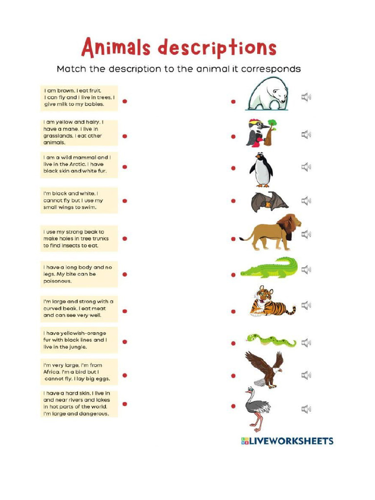 Describing Animals | PDF