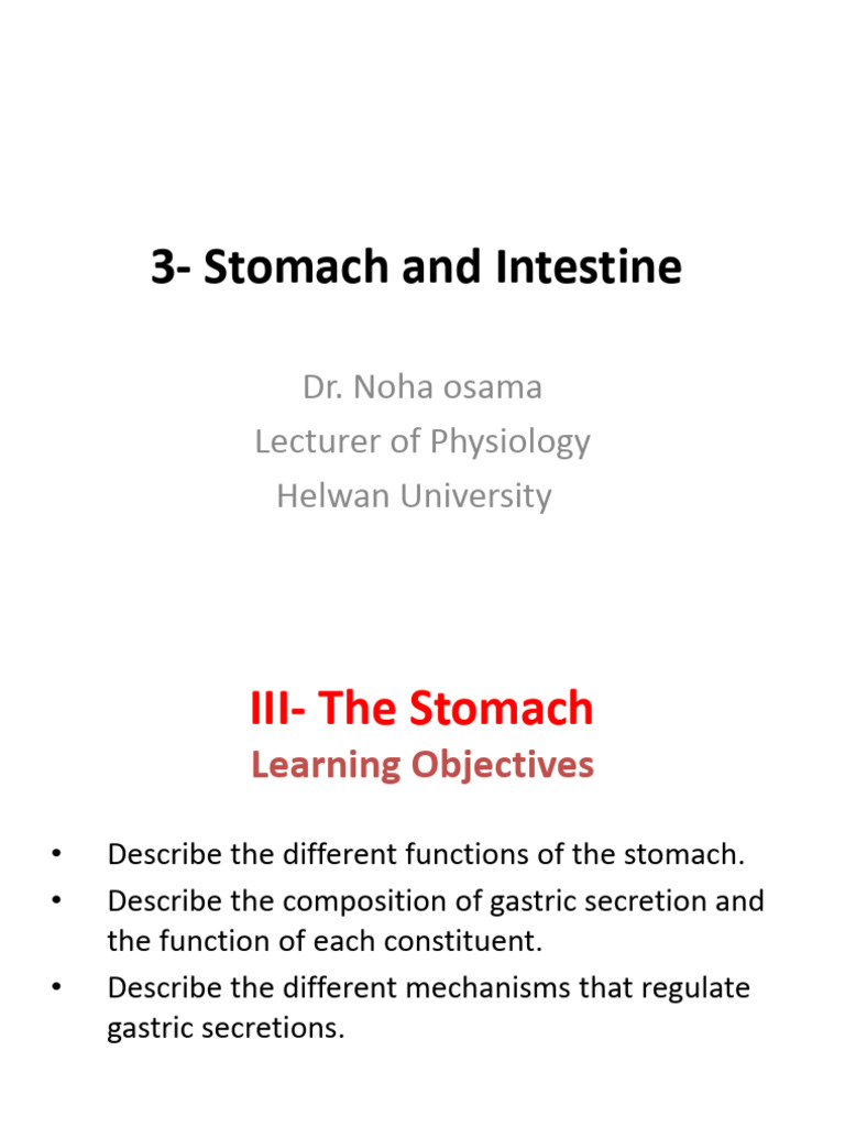 Stomach and Intestine Functions Explained | PDF | Stomach | Digestion