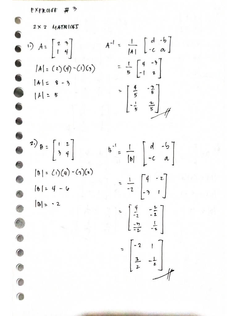 Exercises 3_ 2×2 & 3×3 Matrices | PDF