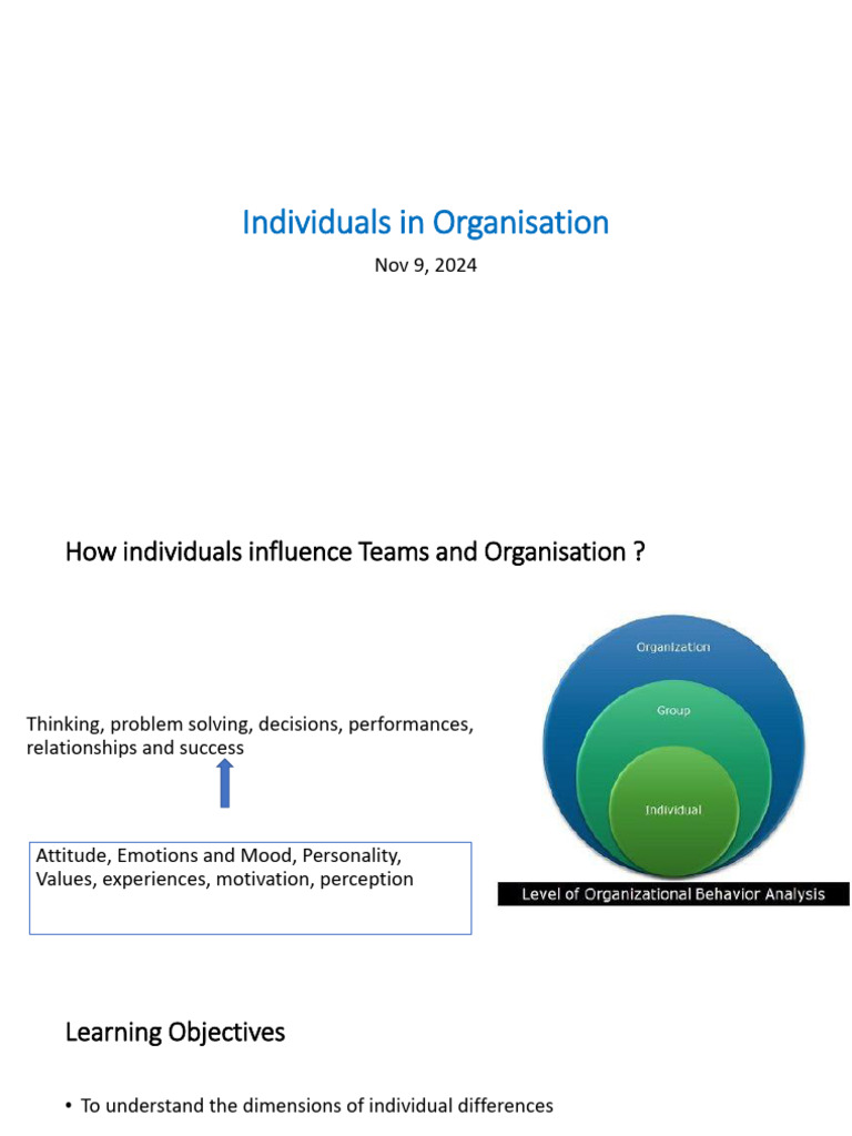 Understanding Individual Differences in Organizations | PDF | Attitude ...