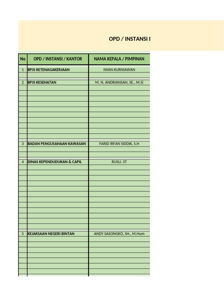 Daftar Jenis Layanan Dan Pic Opd Instansi | PDF