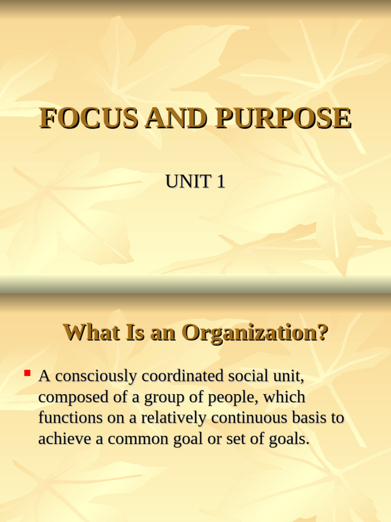 Organization BehaviorUnit 1 | PDF | Organizational Behavior | Attitude (Psychology)