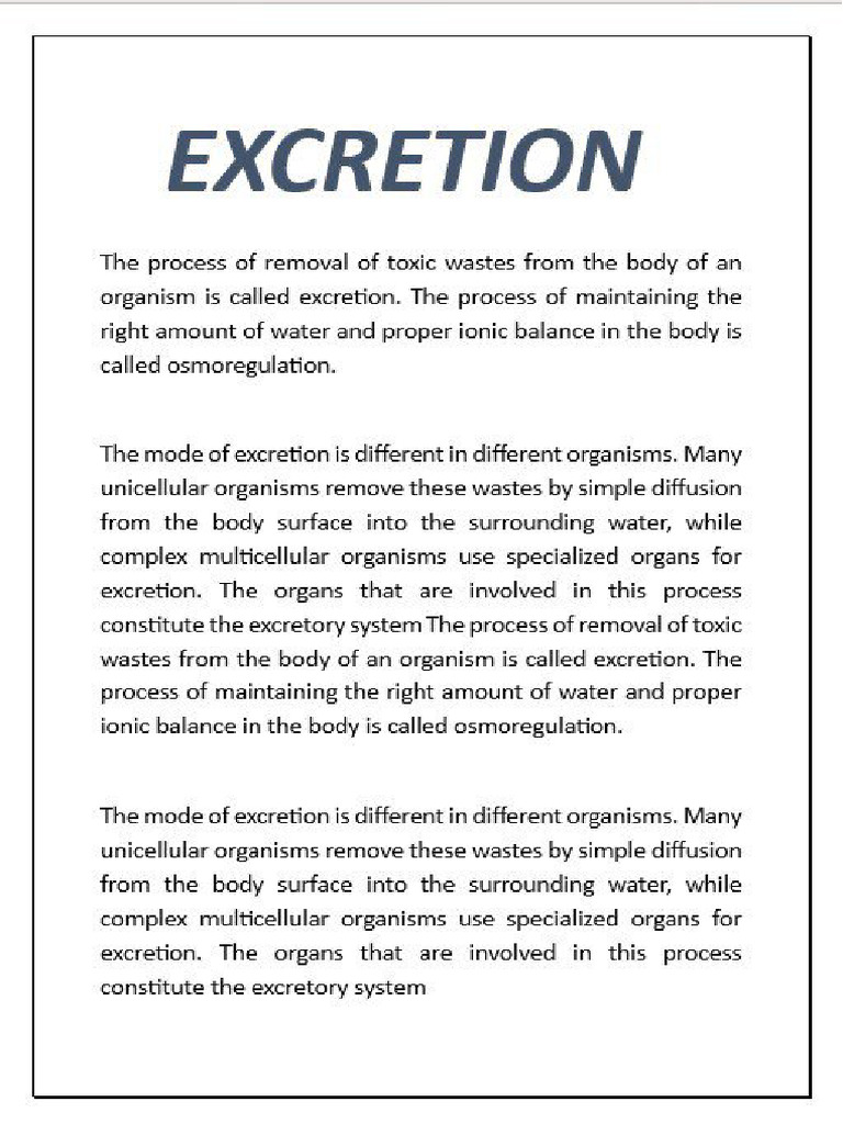 Excretion | PDF