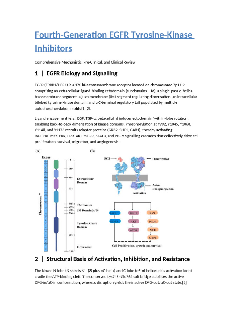 EGFR 4thgen 20page DenseReview | PDF | Epidermal Growth Factor Receptor ...