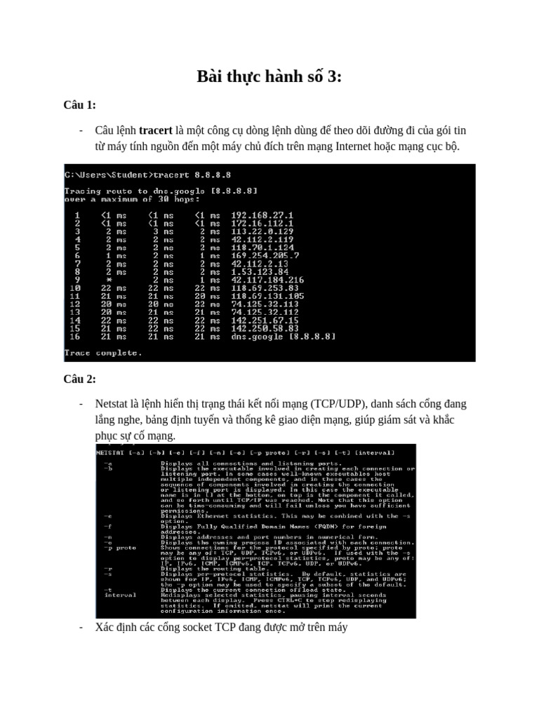 MMT TH3 20227117 | PDF