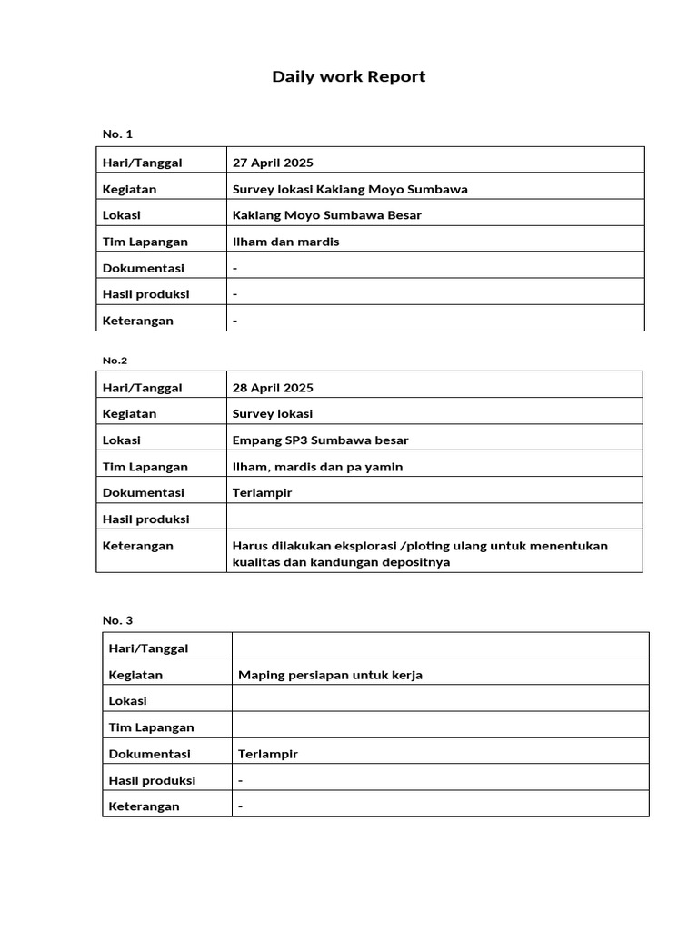 Daily Work Report | PDF