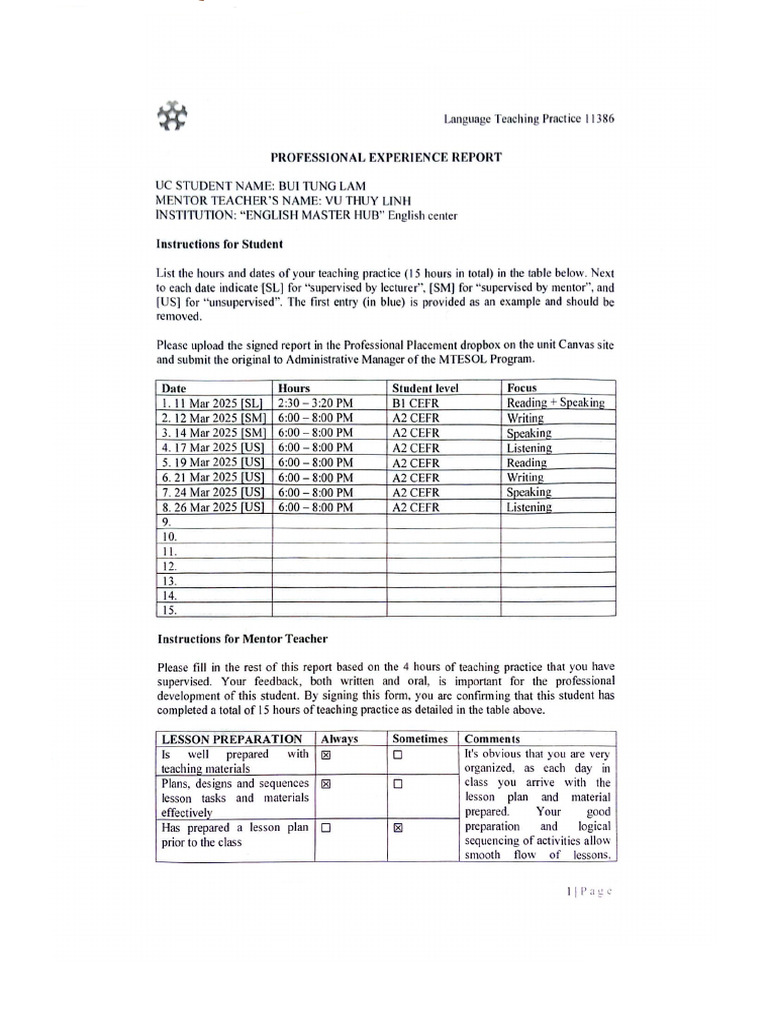 Professional Experience Report | PDF