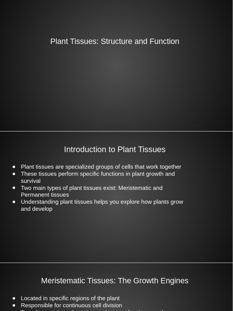Understanding Plant Tissue Functions | PDF | Tissue (Biology) | Plants