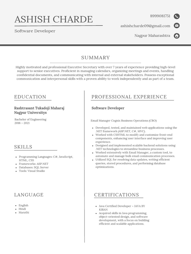 Gray and White Simple Clean Resume | PDF | Databases | Software Development