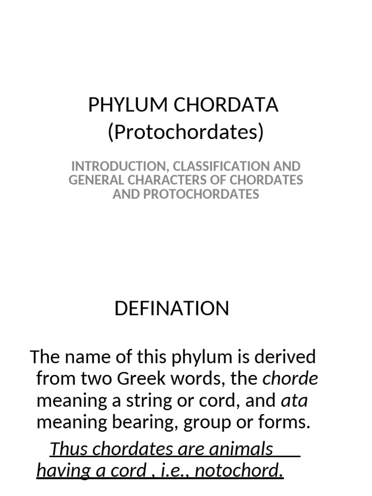 Phylum Chordata and Protochordates | PDF | Gill | Chordates