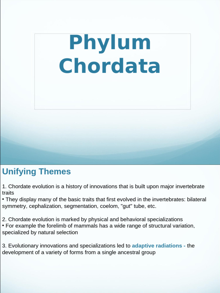 Chordates Notes Use | PDF | Vertebrates | Chordates