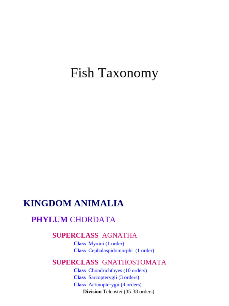 Agnatha - Hagfish To Chimaeras | PDF | Elasmobranchii | Aquatic Vertebrates