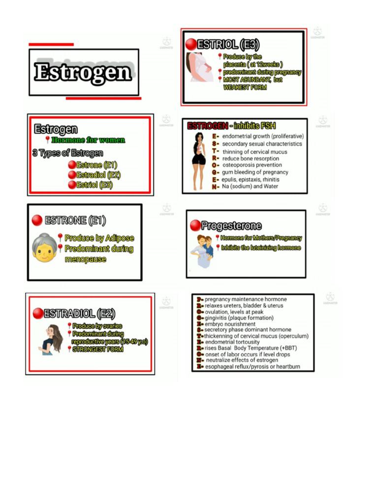 Estrogen and Progesterone | PDF