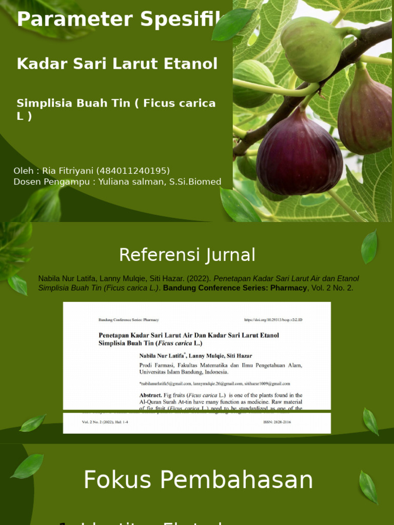 Fitokimia Buah Tin ( Ria Fitriyani 484011240195 ) | PDF