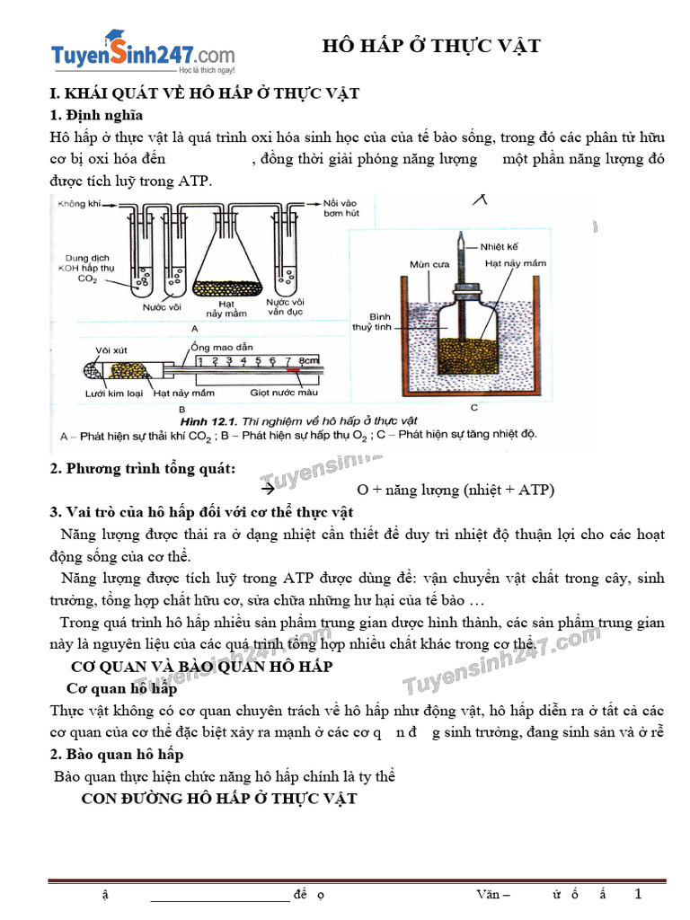 Ho Hap o Thuc Vat | PDF