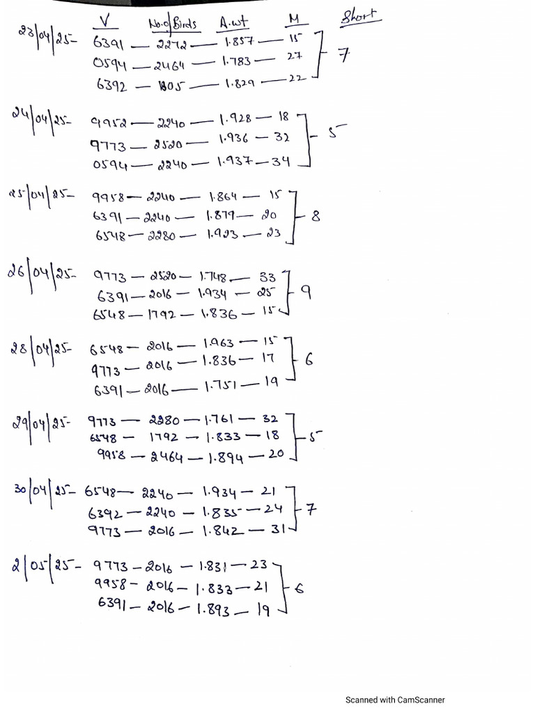Live Bird Report (QSA Audit) | PDF