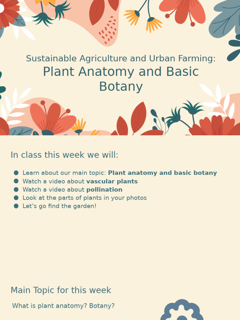 Plant Anatomy Basics for Urban Farming | PDF | Flowers | Plants