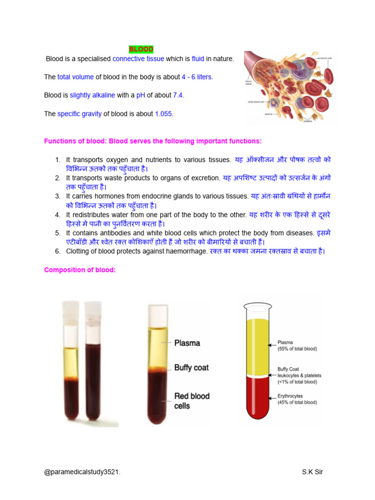 Blood | PDF